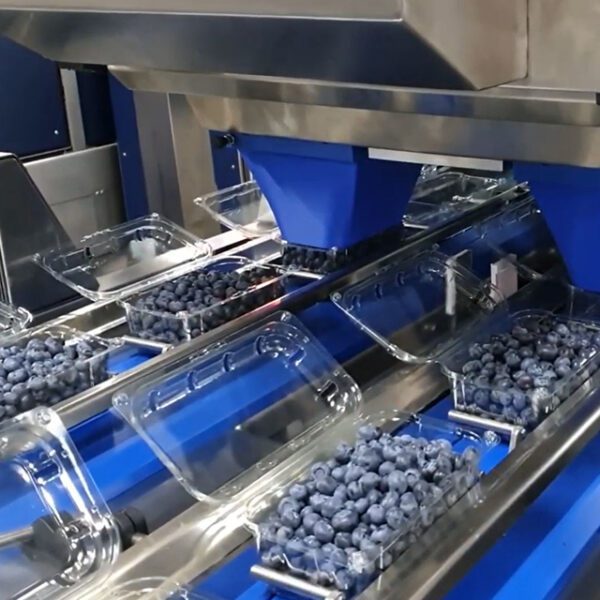 Clasificadoras Elifab | Clasificación de nivel superior de Ellips