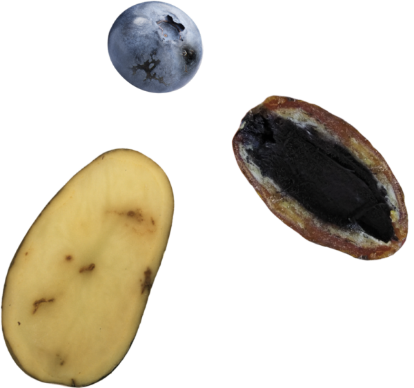 TrueSort™- Fruit & vegetables Grading Software | Ellips