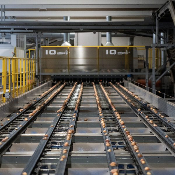 Elisam Grading Machines | Next level grading by Ellips