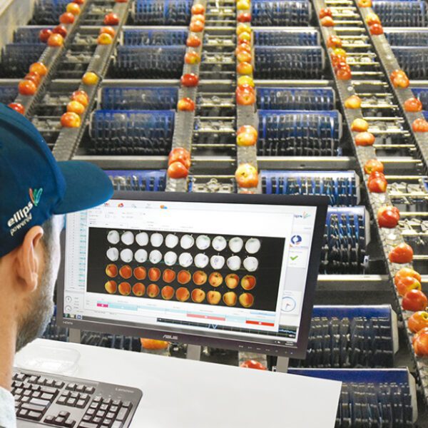 Apple grading machine - every apple counts | Ellips-Elisam