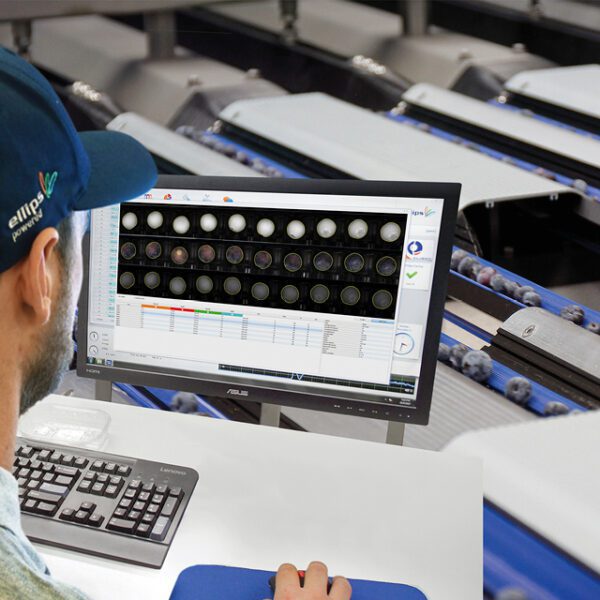 Elifab grading - maximize the value in every harvest - Ellips