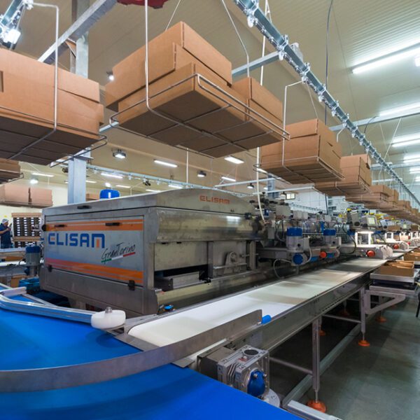 Elisam Grading Machines | Next level grading by Ellips