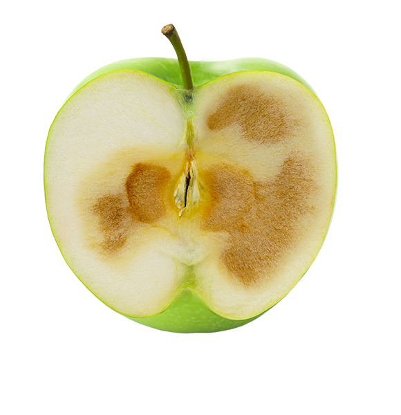 Apple grading machine - every apple counts | Ellips-Elisam