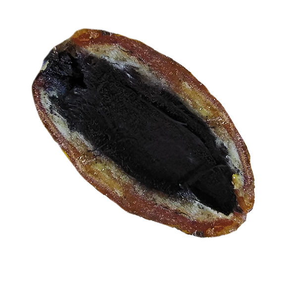 Date grading machine - every date counts | Ellips-Elisam