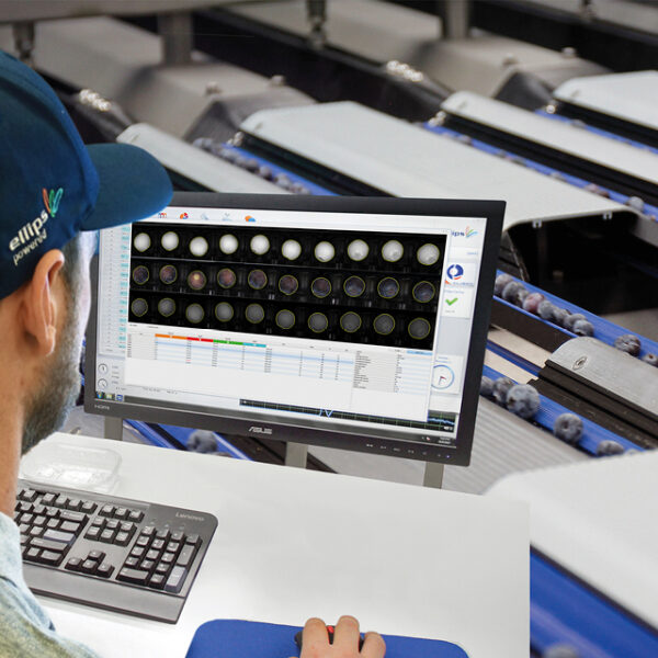 Blueberry grading machine - every blueberry counts | Ellips-Elifab