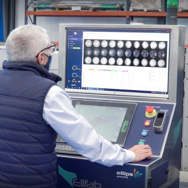 Blueberry grading machine - every blueberry counts | Ellips-Elifab