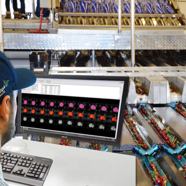 Cherry grading machine - every cherry counts | Ellips-Elifab