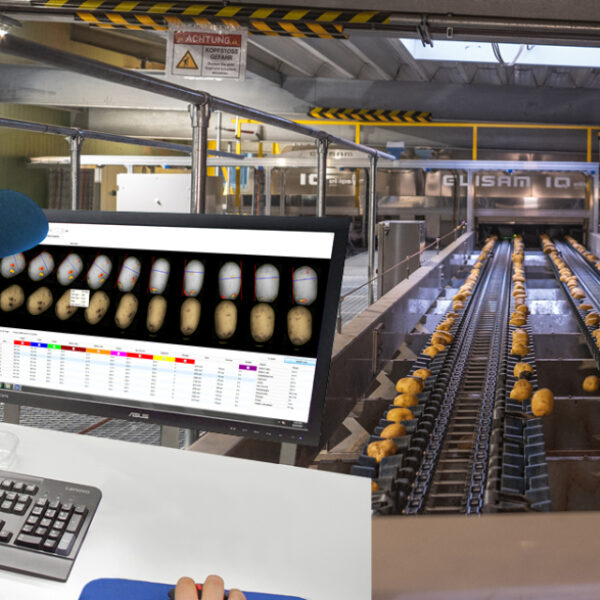 Potato grading machine - every potato counts | Ellips-Elisam