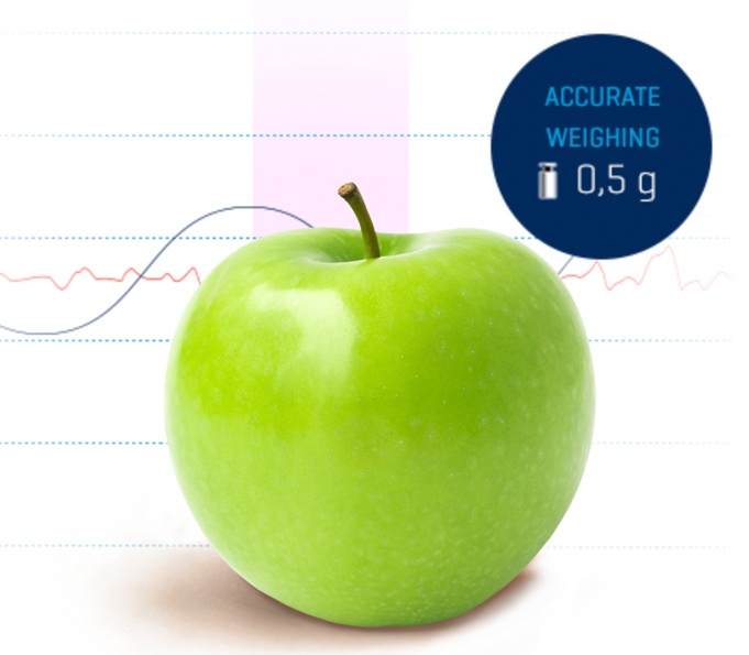 Apple grading machine - every apple counts | Ellips-Elisam