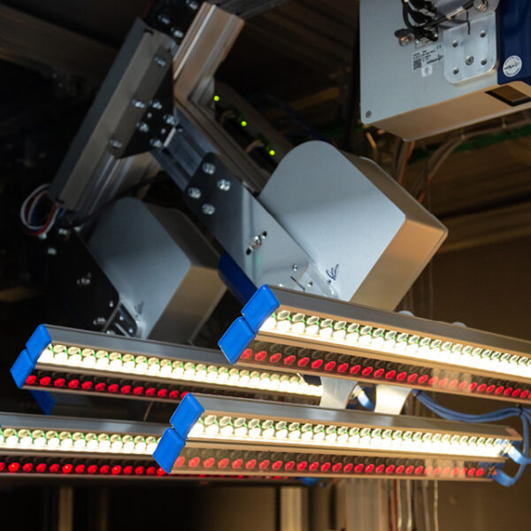 Lemon and lime grading machine - every citrus counts | Ellips