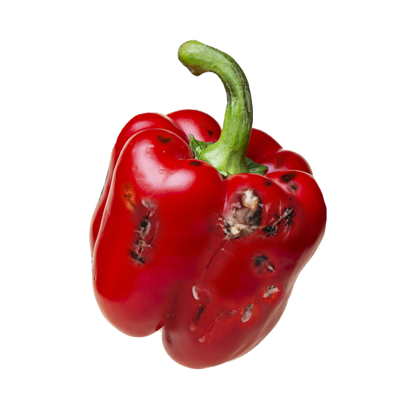 Bell peppers - Grade fruit and vegetables with high speed and ...