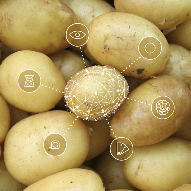 Potato grading machine - every potato counts | Ellips-Elisam