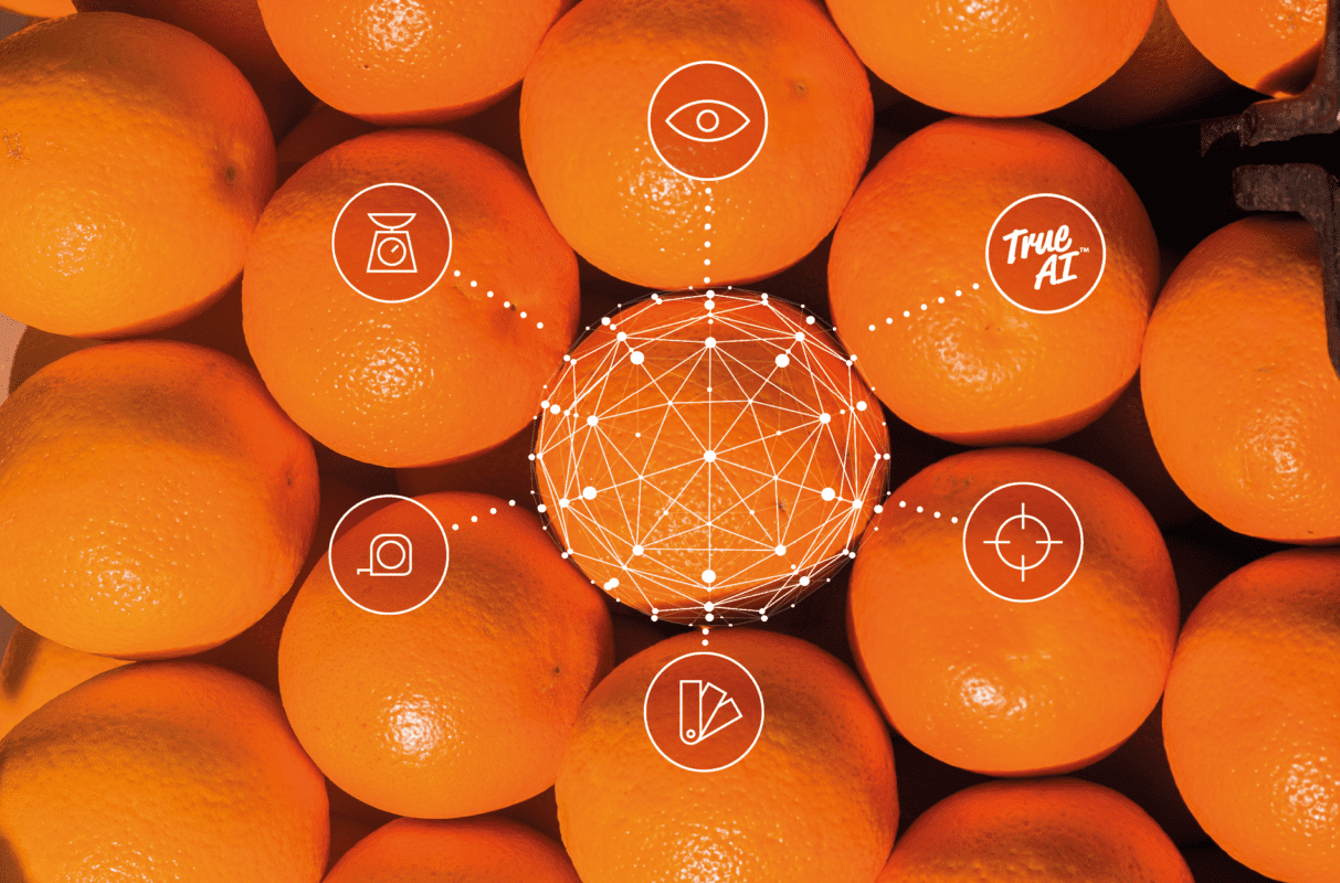 Orange grading machine - every orange counts | Ellips-Elisam