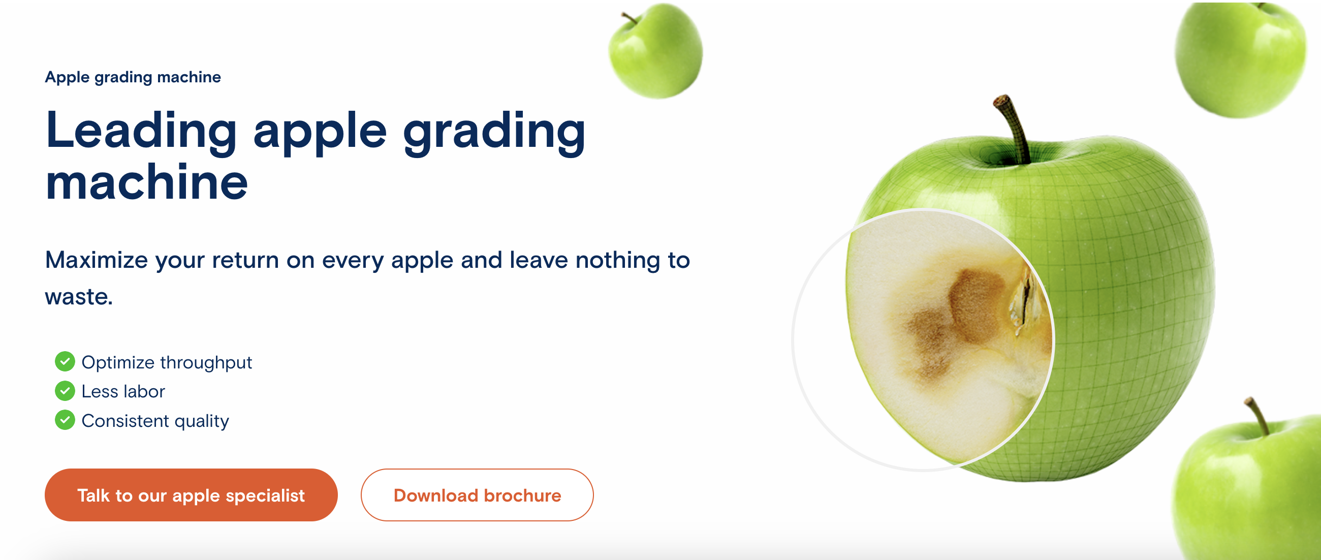 Apple grading machine - every apple counts | Ellips-Elisam