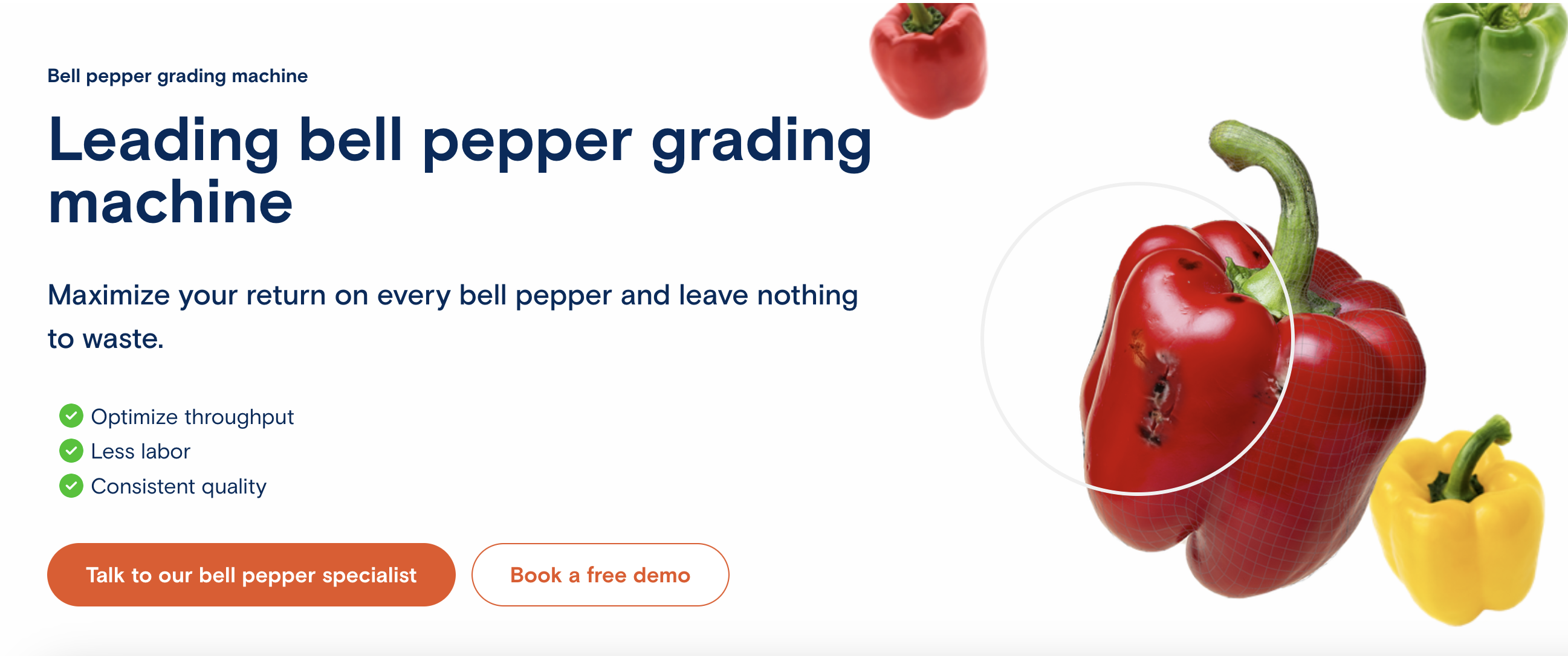 Bell peppers - Grade fruit and vegetables with high speed and ...