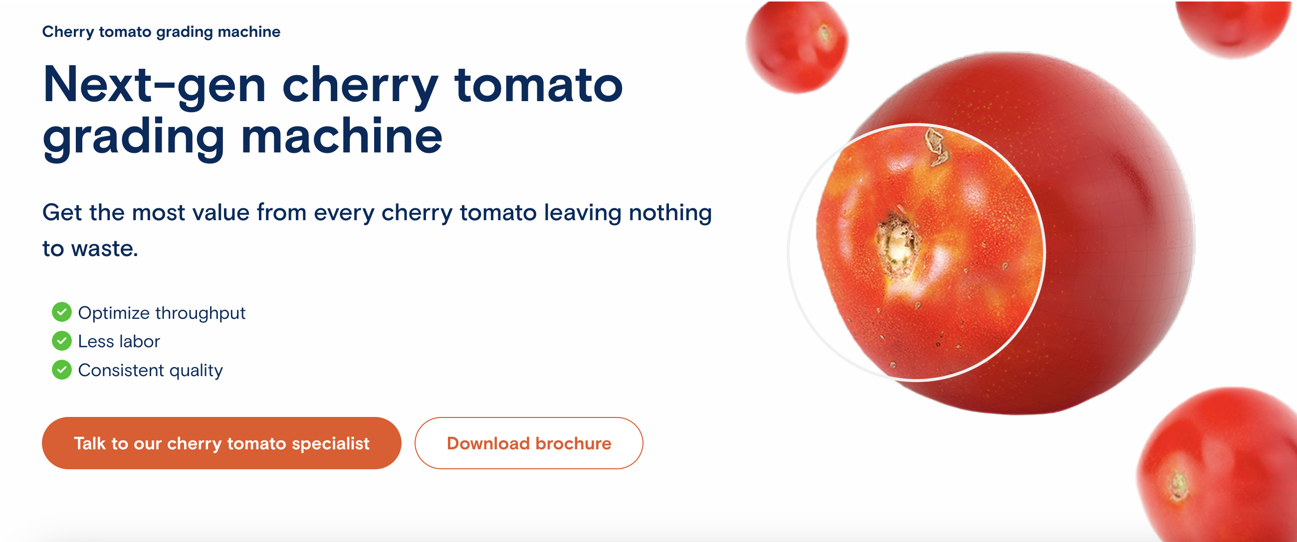 Cherry tomato grading machine - every tomato count | Ellips-Elifab