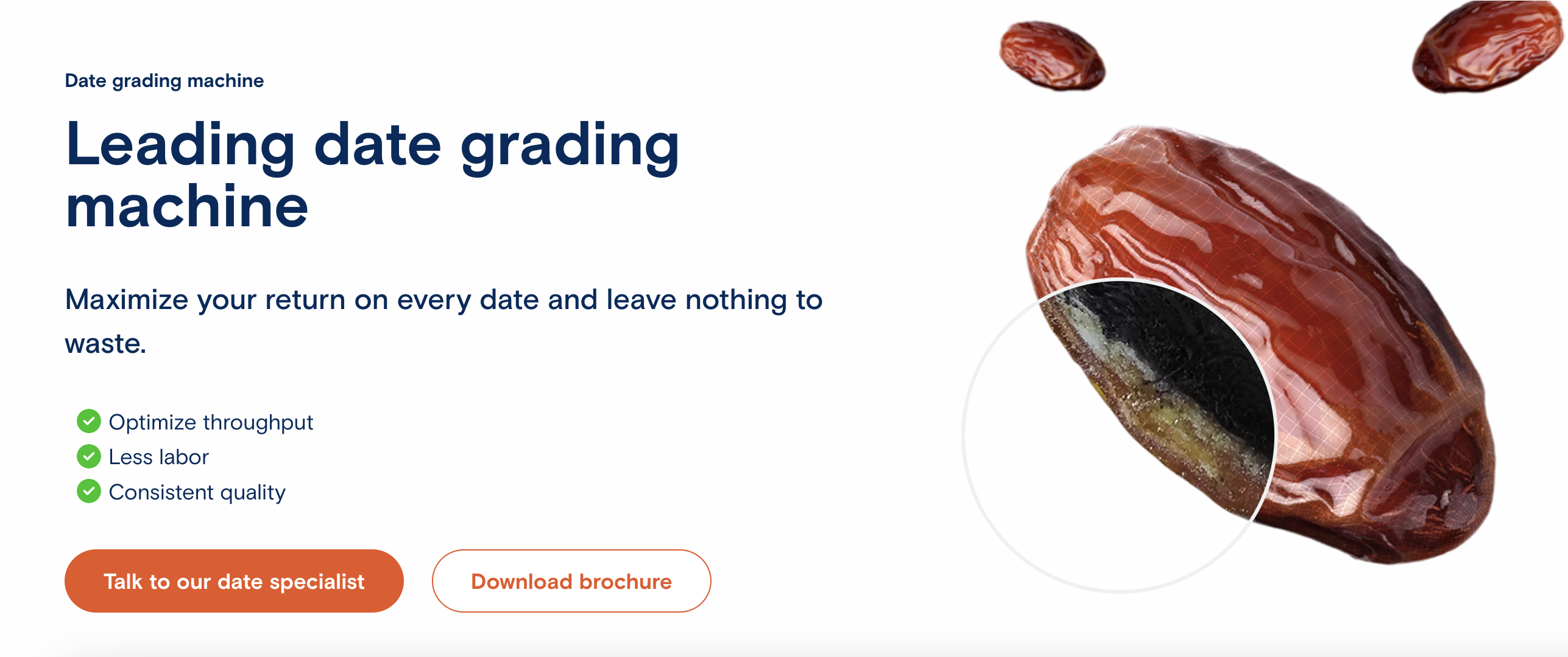 Date grading machine - every date counts | Ellips-Elisam