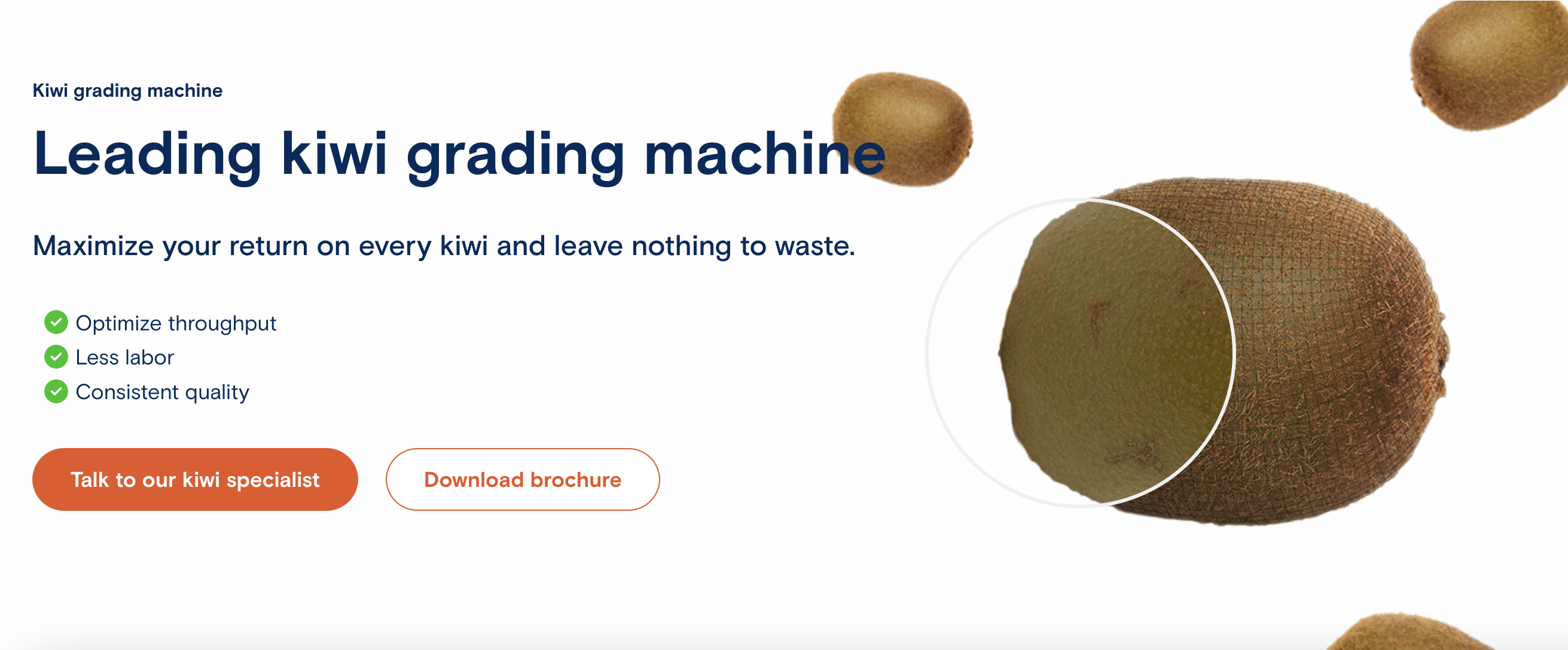 Kiwi grading machine - every kiwi counts | Ellips-Elisam