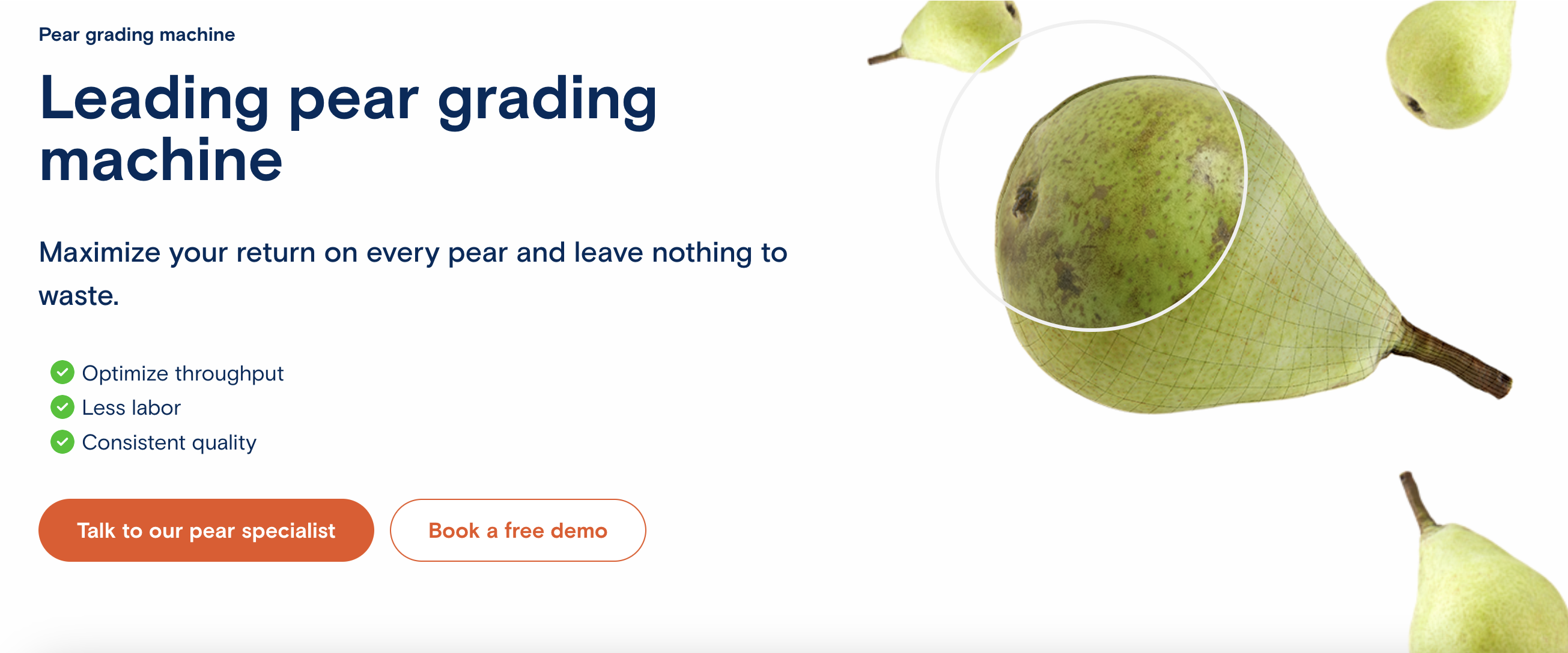 Pear grading machine - every pear counts | Ellips-Elisam
