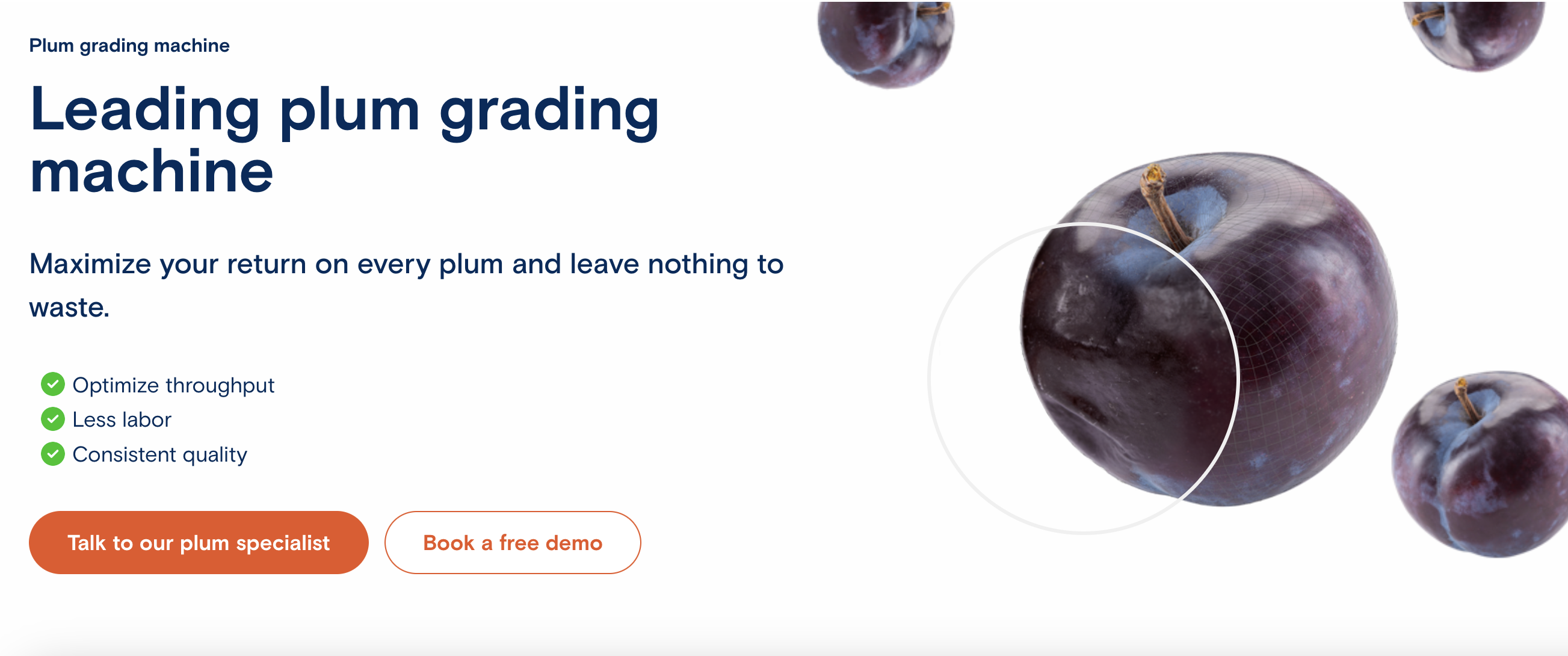 Plum grading machine - every plum counts | Ellips-Elisam