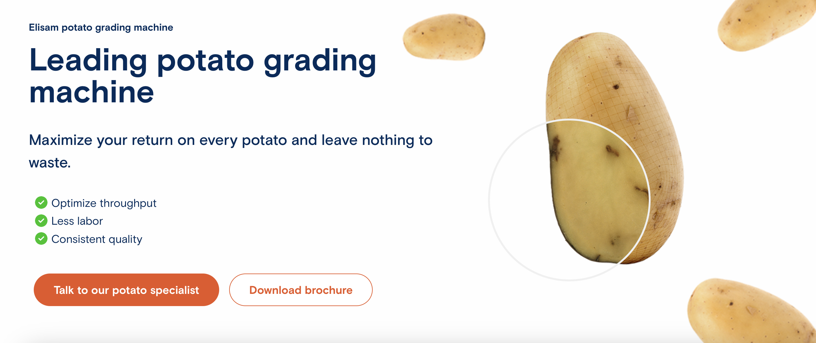 Potato grading machine - every potato counts | Ellips-Elisam