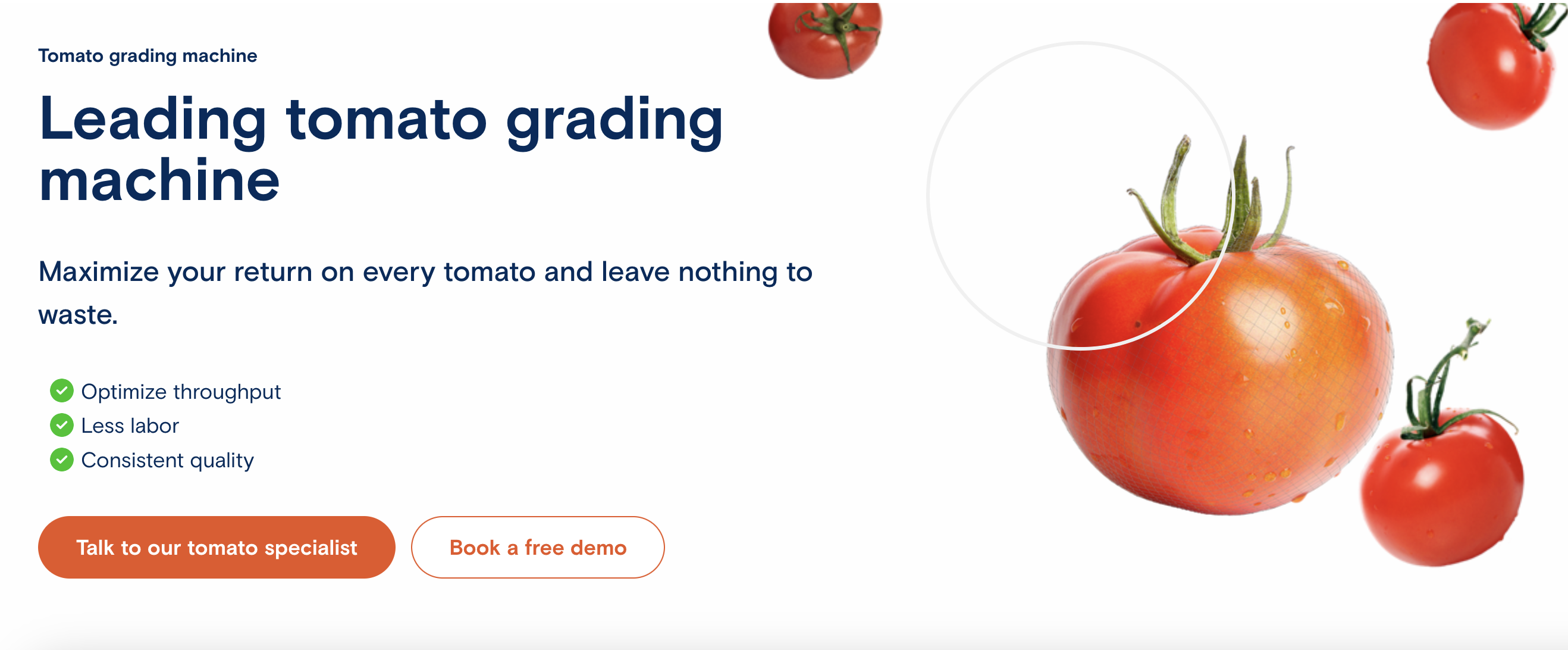 Tomatoes - Grade fruit and vegetables with high speed and consistent ...